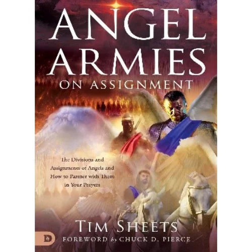 Angel Armies on Assignment: The Divisions and Assignments Of Angels An ...